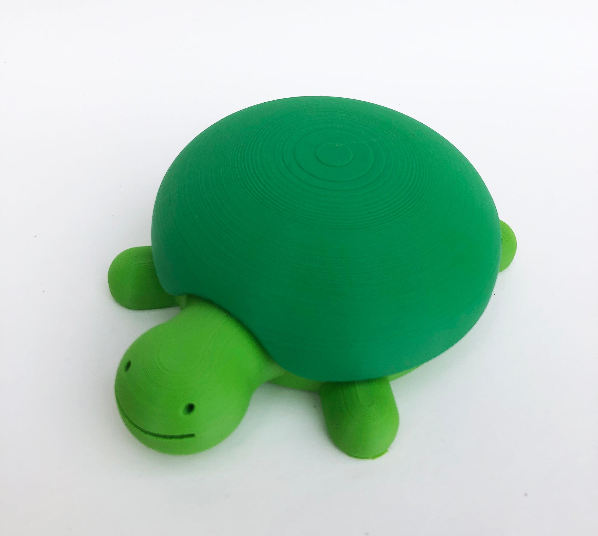 Carey Desktop Sandbox Turtle with Sand – Jace and Judy